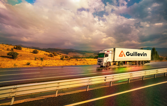 À propos de nous | Guillevin